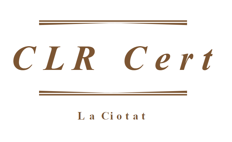 Cybersécurité des Intelligences Artificielles – CLR Cert